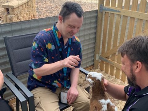 Animal Assisted Therapy - Pearsons Services